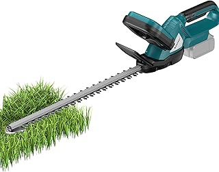 Renouée d'Aubert (Fallopia aubertii) : culture, entretien, semis